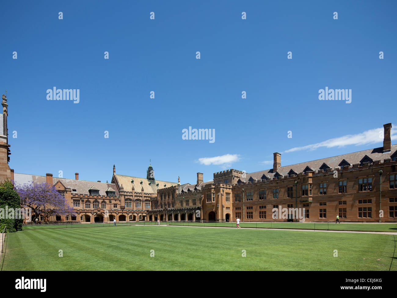 University of Sydney main quadrangle, Sydney, Australia Stock Photo - Alamy