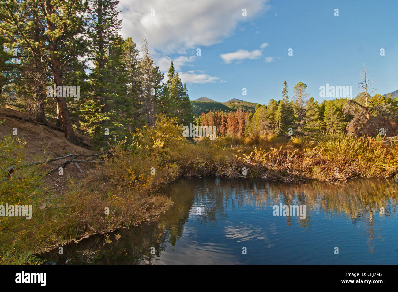 Fall mountain scene Stock Photo - Alamy