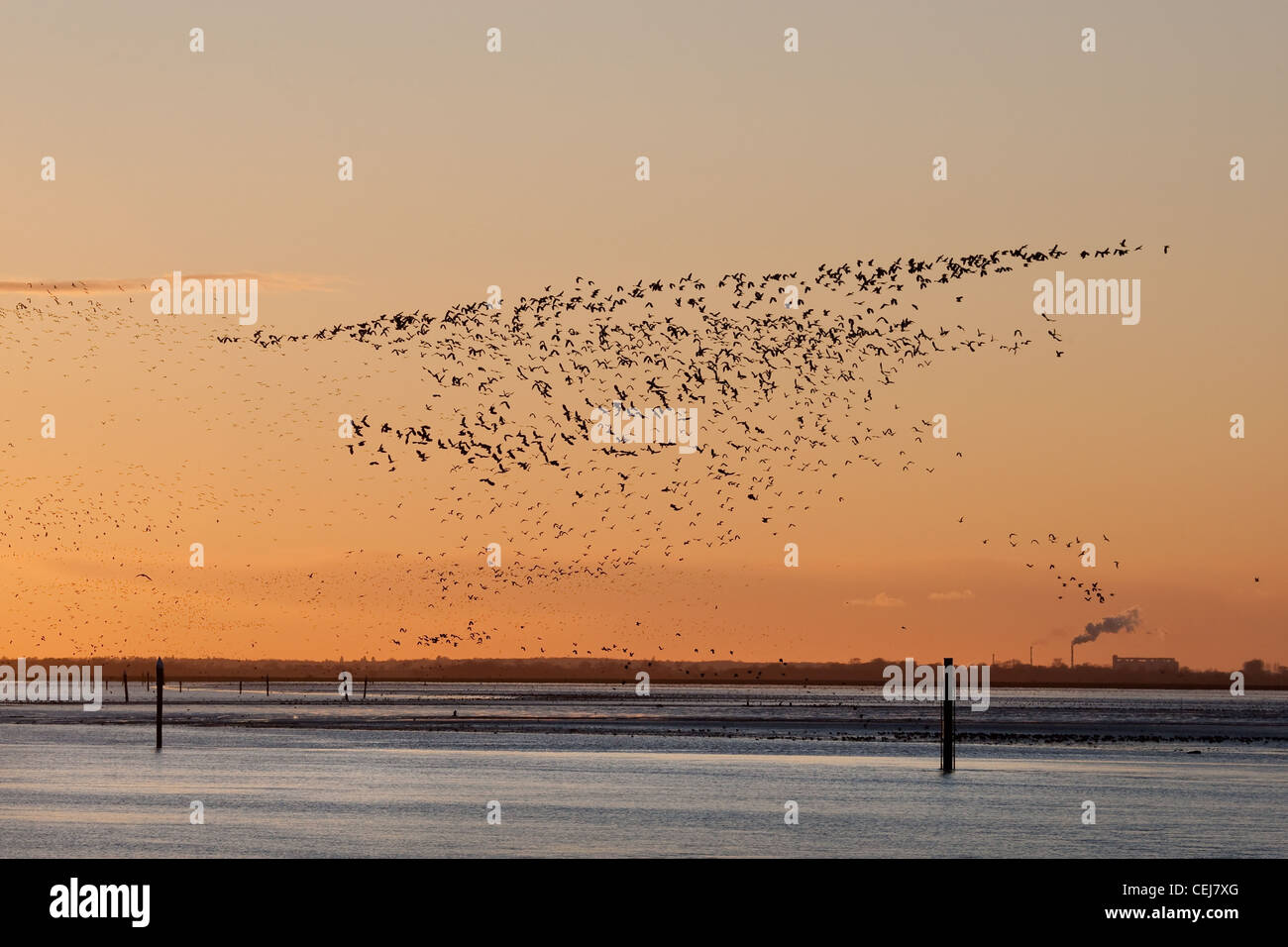 Sunset over Breydon Water, Norfolk Stock Photo - Alamy