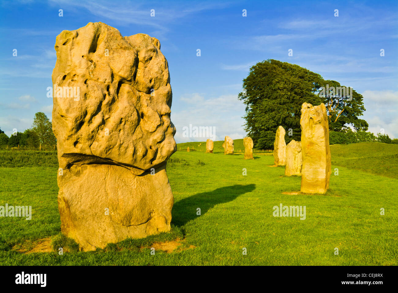 Large stone monoliths of Avebury stone circle in Wiltshire a world ...