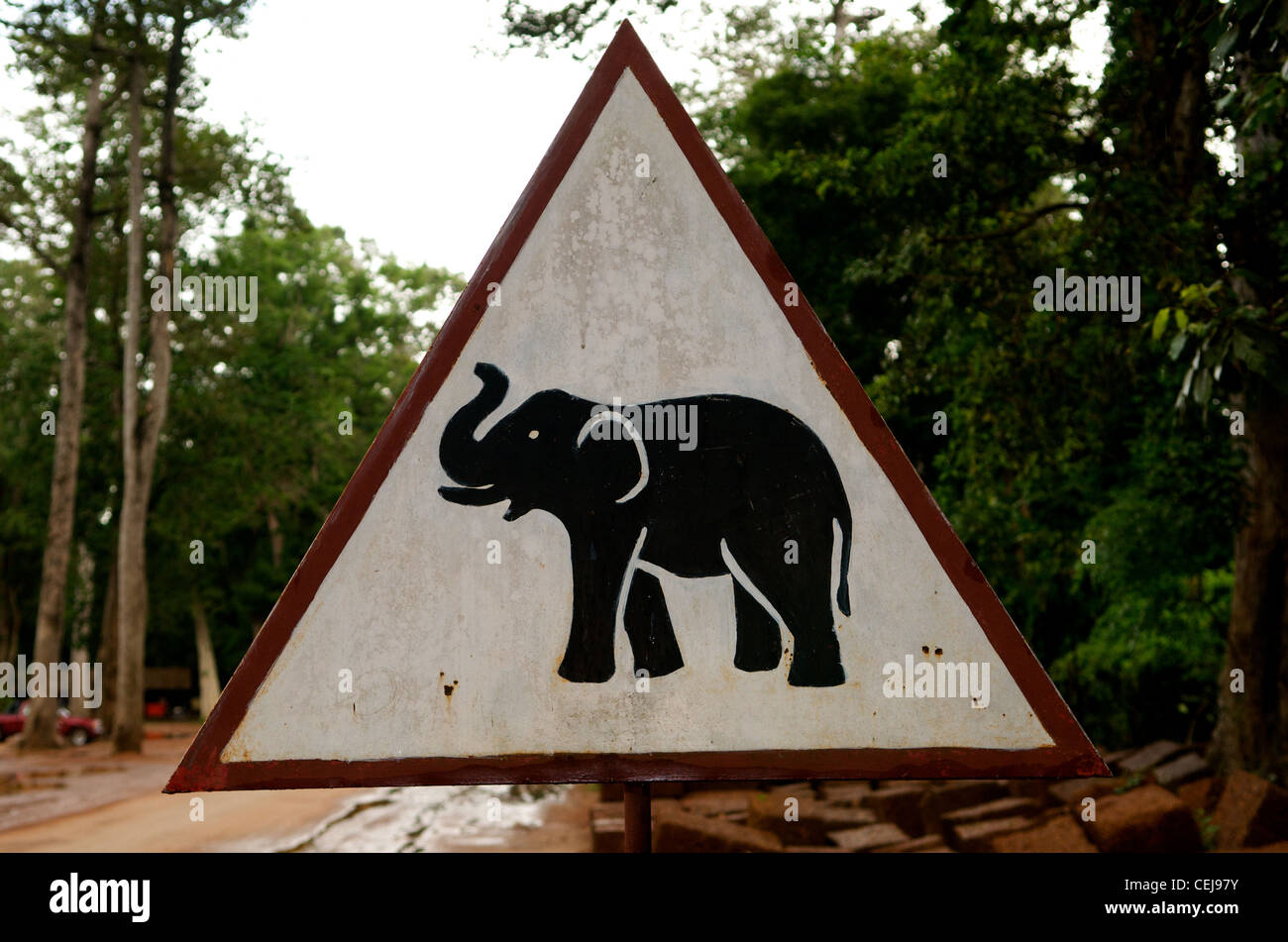Elephant Crossing Sign High Resolution Stock Photography and Images - Alamy