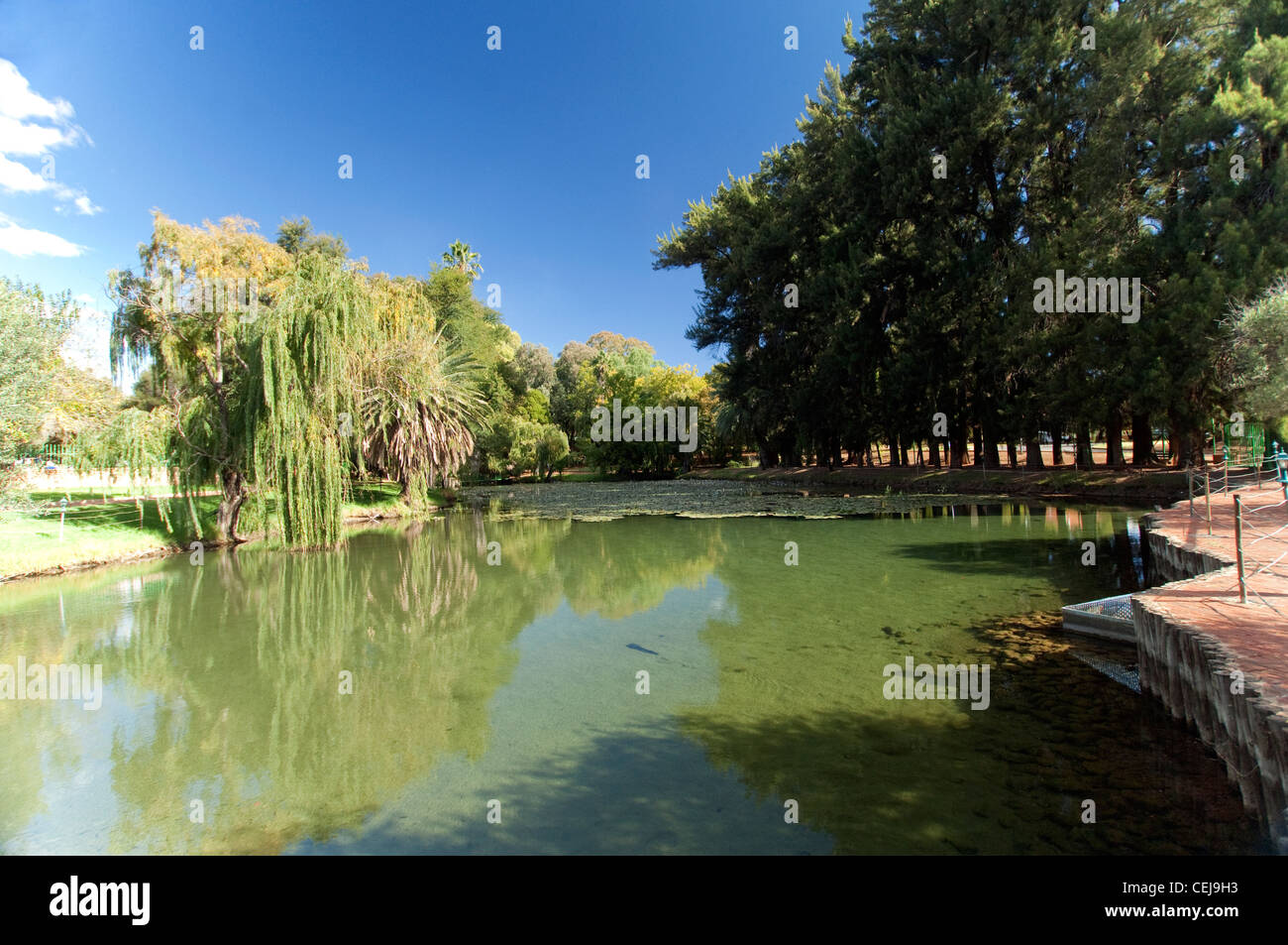 The Eye of Kuruman,a natural fountain supplying Kuruman with it's water ...