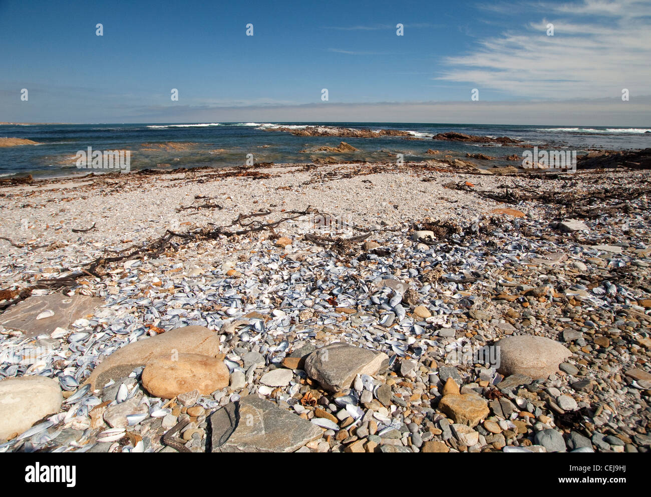 Rocky beach at Port Nolloth,Northern Cape Stock Photo - Alamy
