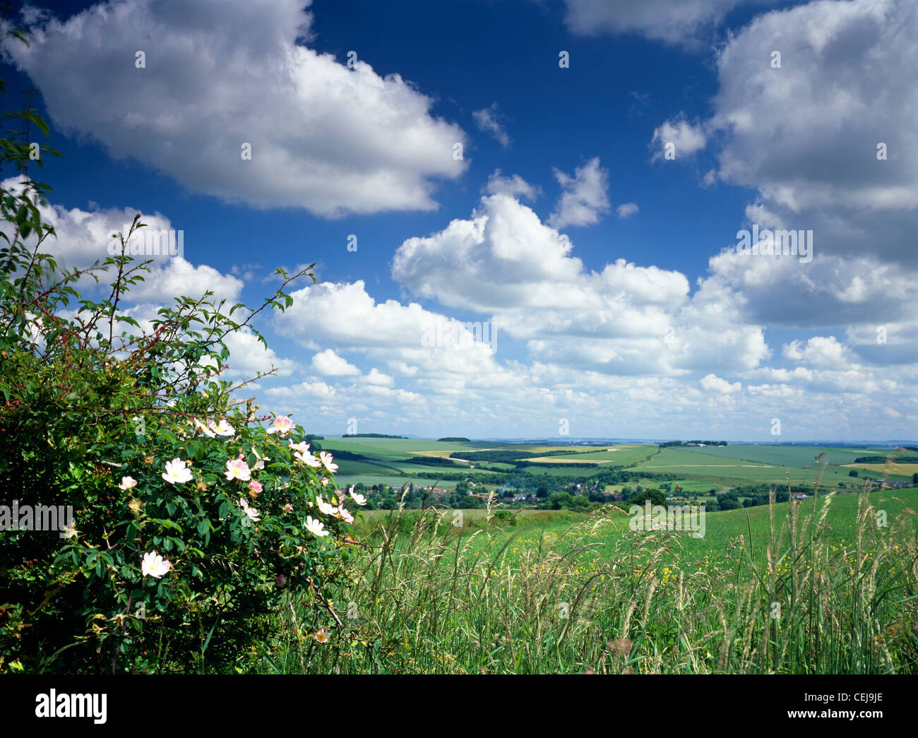 A mid-summer view of the Wylye Valley in Wiltshire, photographed on the ...
