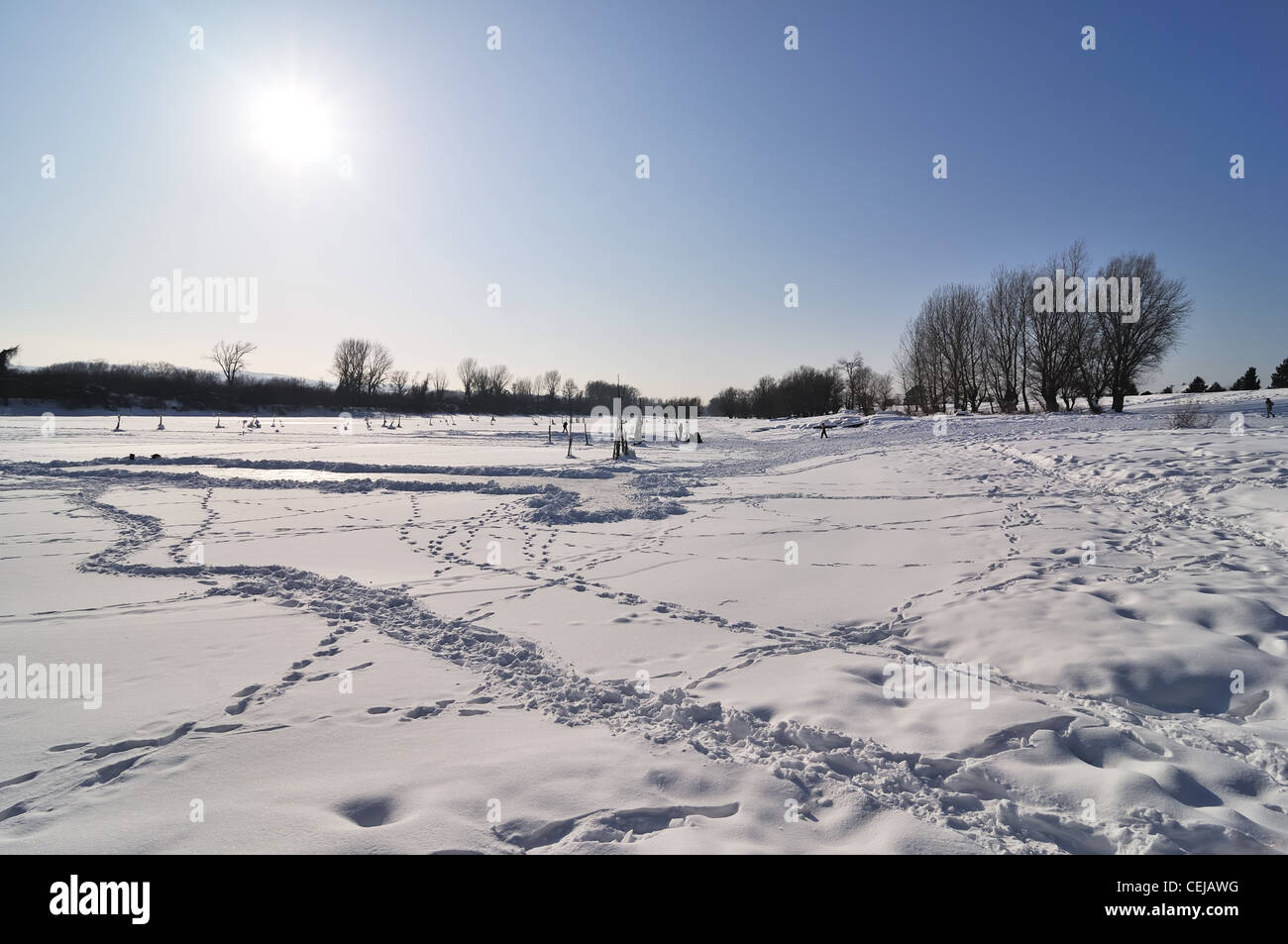 Winter landscape with a trace on snow and trees behind Stock Photo - Alamy