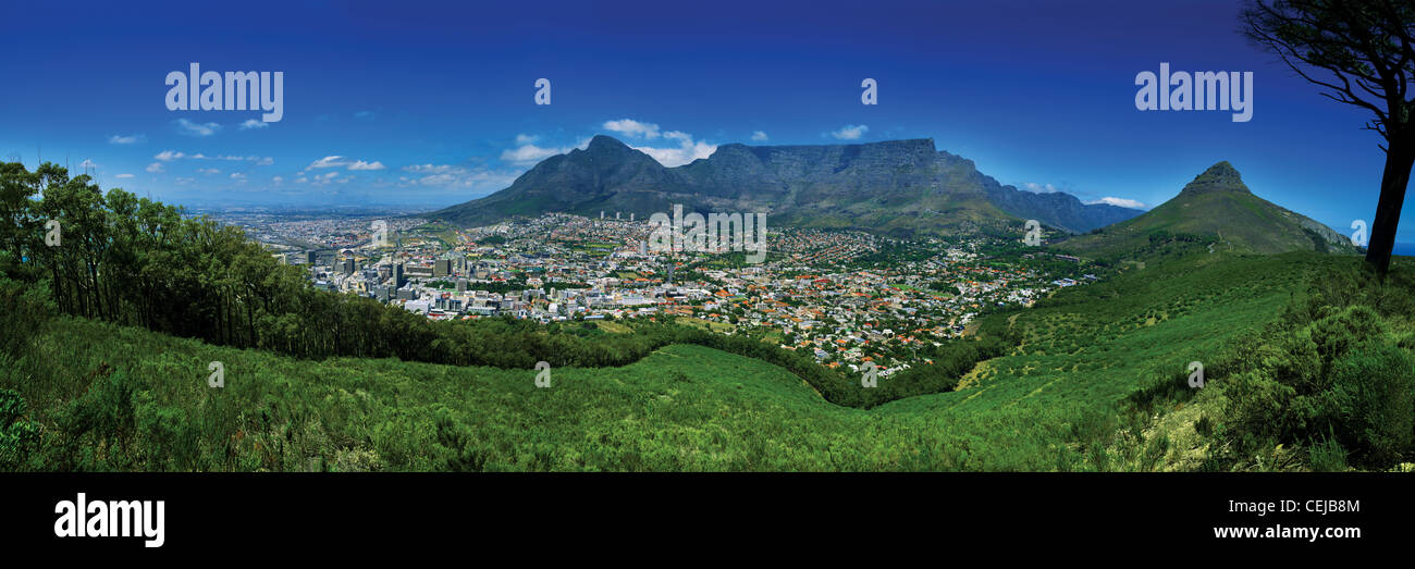 Table Mountain,Western Cape Stock Photo - Alamy