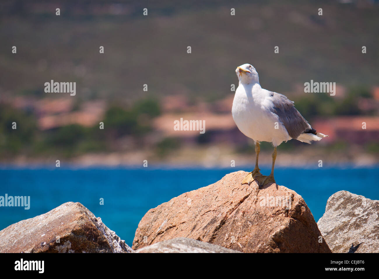 Quizzical hi-res stock photography and images - Alamy