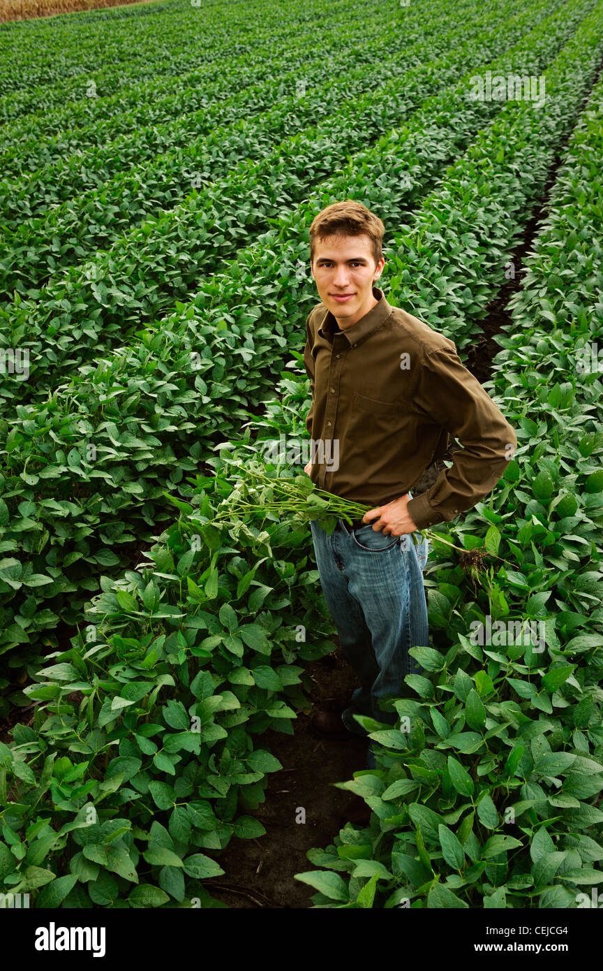 Farmer in iowa soybean field hi-res stock photography and images - Alamy