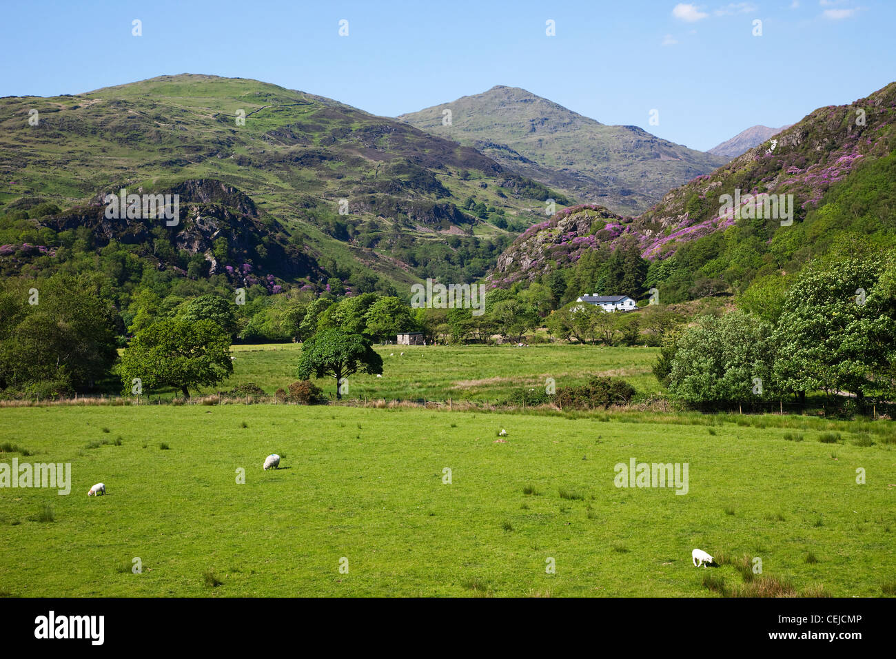 Wales, Gwynedd, Snowdonia National Park, View of Mount Snowdon from ...
