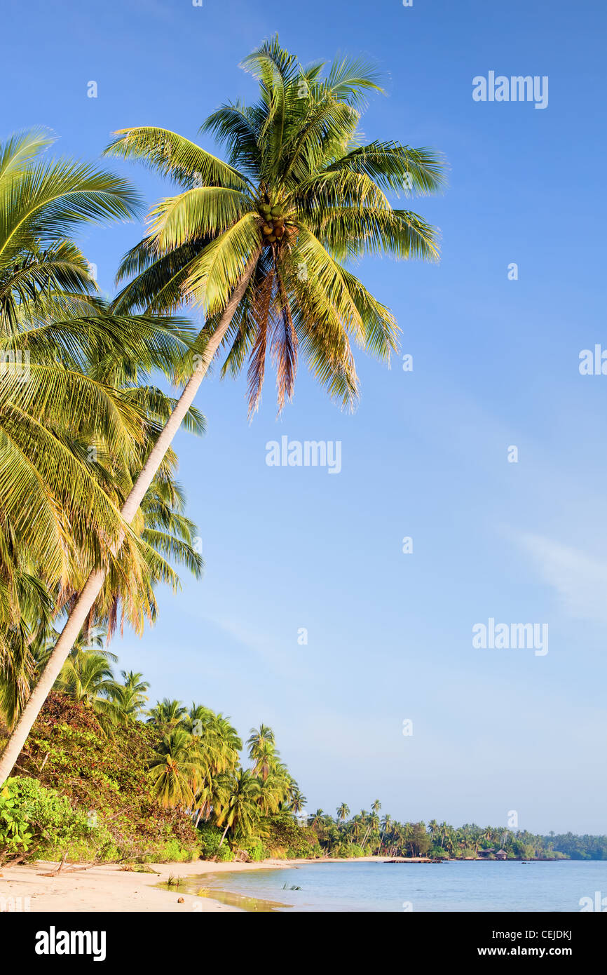 Tropical island exotic scenery in Thailand, lots of copy space Stock ...