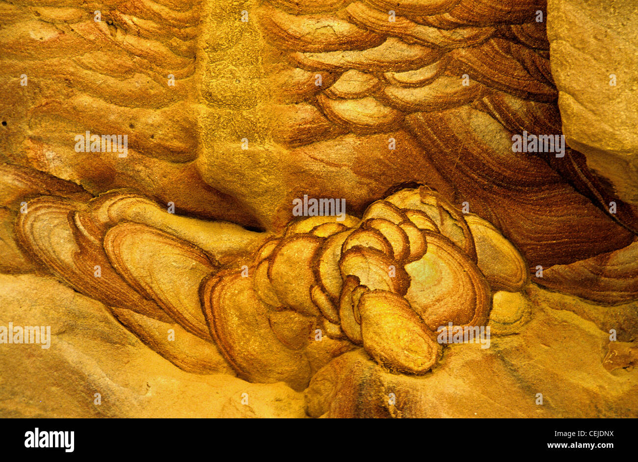 Sandstone rock formation Stock Photo - Alamy