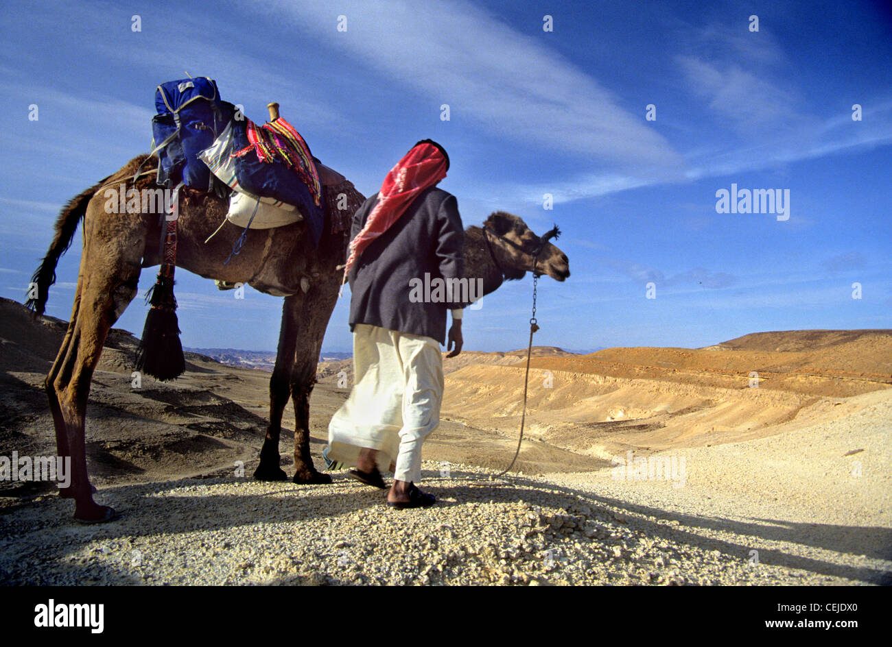 Camel handler hi-res stock photography and images - Alamy