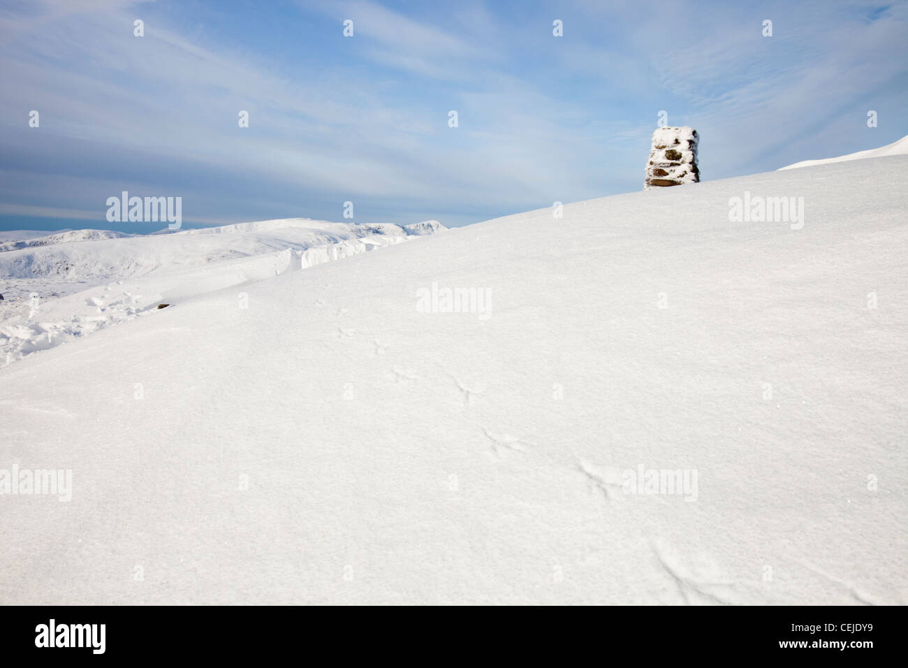 Raven tracks hi-res stock photography and images - Alamy
