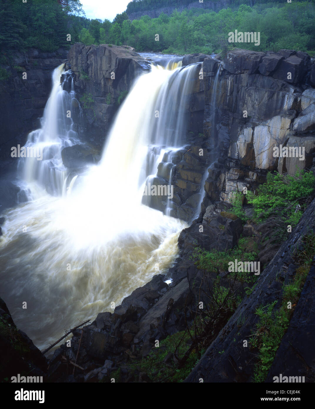 Us canada border forest hi-res stock photography and images - Alamy