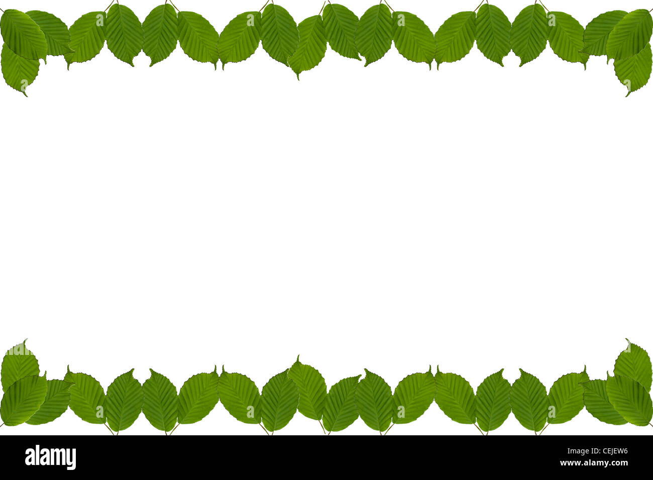 Frame of leaves Stock Photo - Alamy