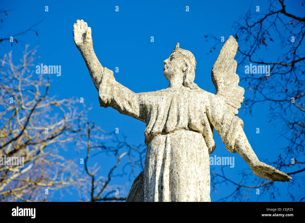 ancient angel on sky background and tree branches Stock Photo - Alamy