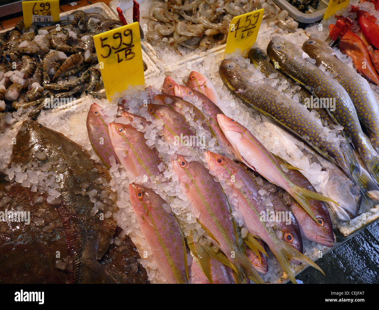 New fish stall hi-res stock photography and images - Alamy