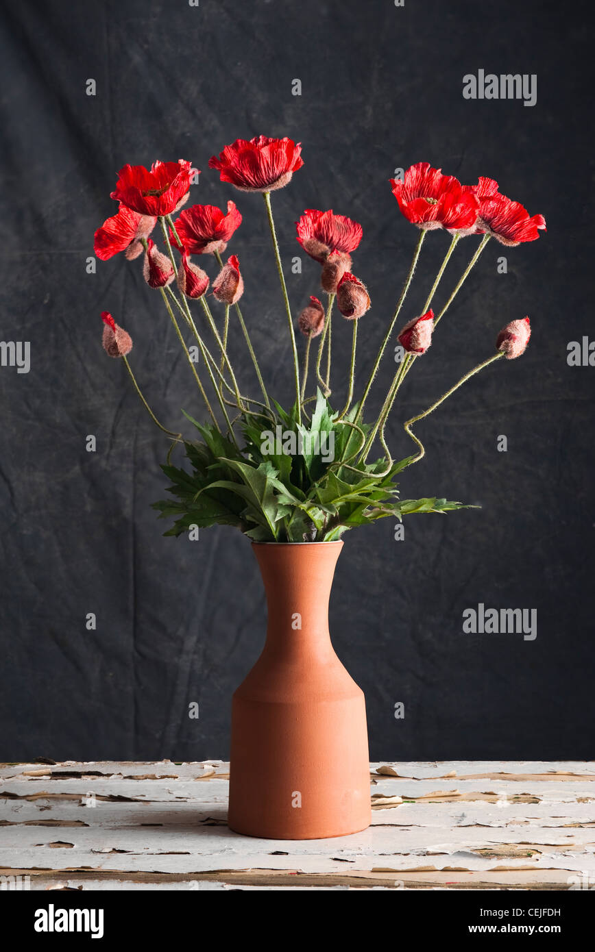 Vase with poppies hi-res stock photography and images - Alamy