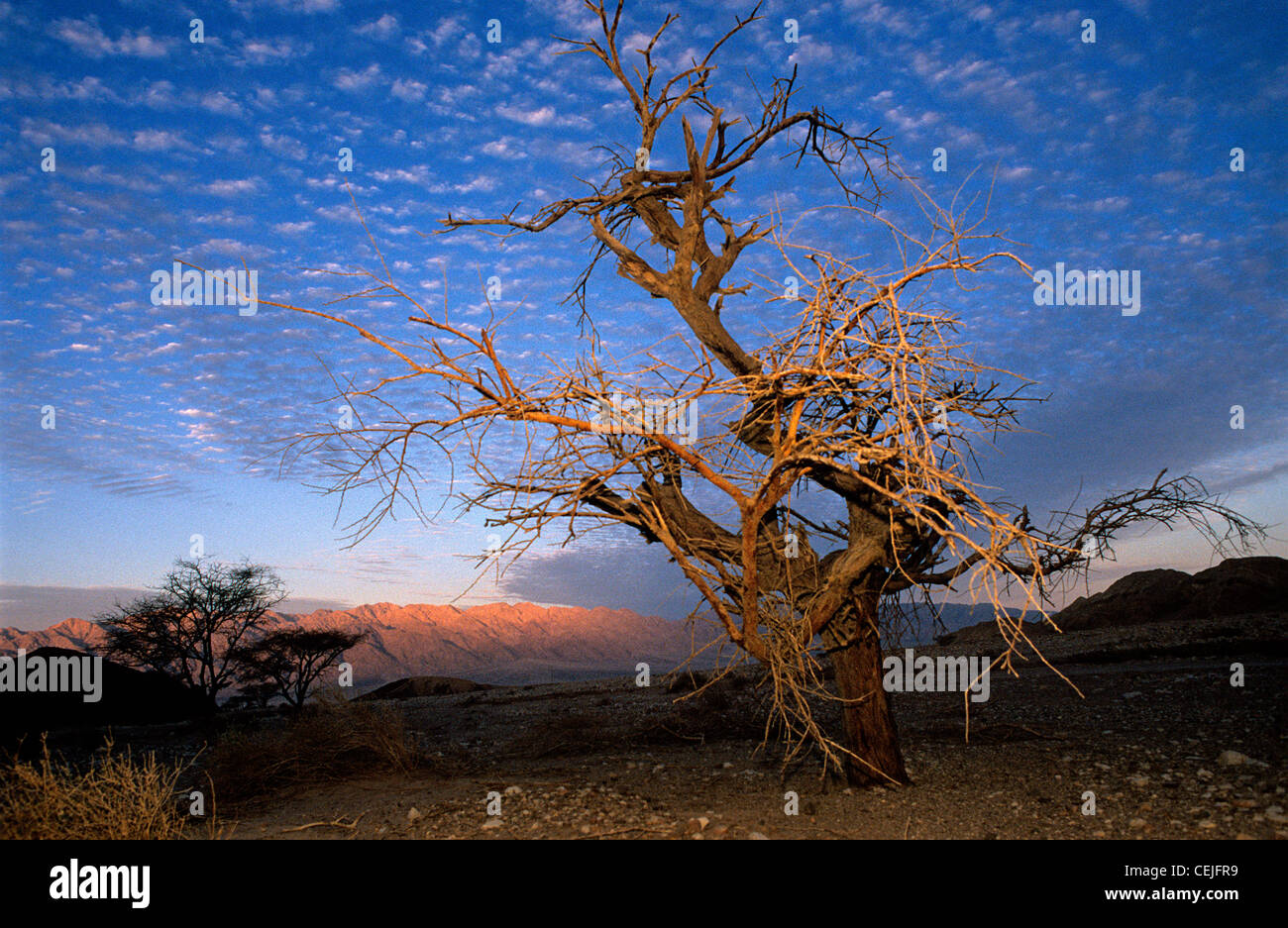 Negev desert. Eilat Mts, Israel Stock Photo - Alamy