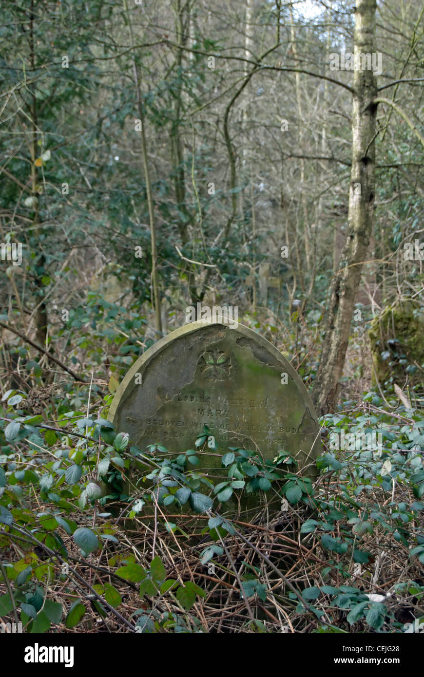 overgrown gravestone at old barnes cemetery, southwest london, a ...