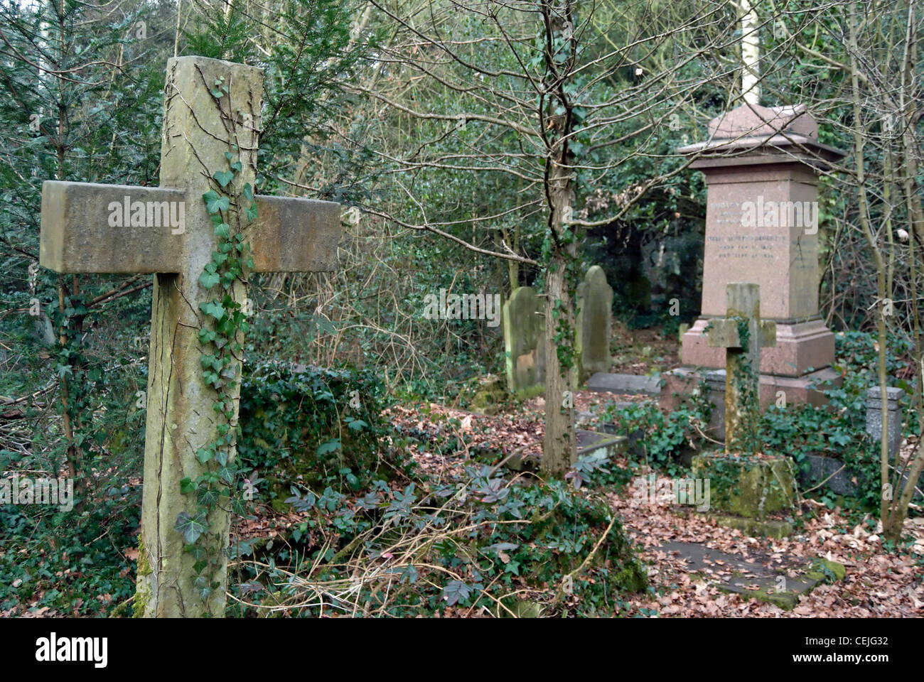 overgrown gravestones at old barnes cemetery, southwest london, a ...