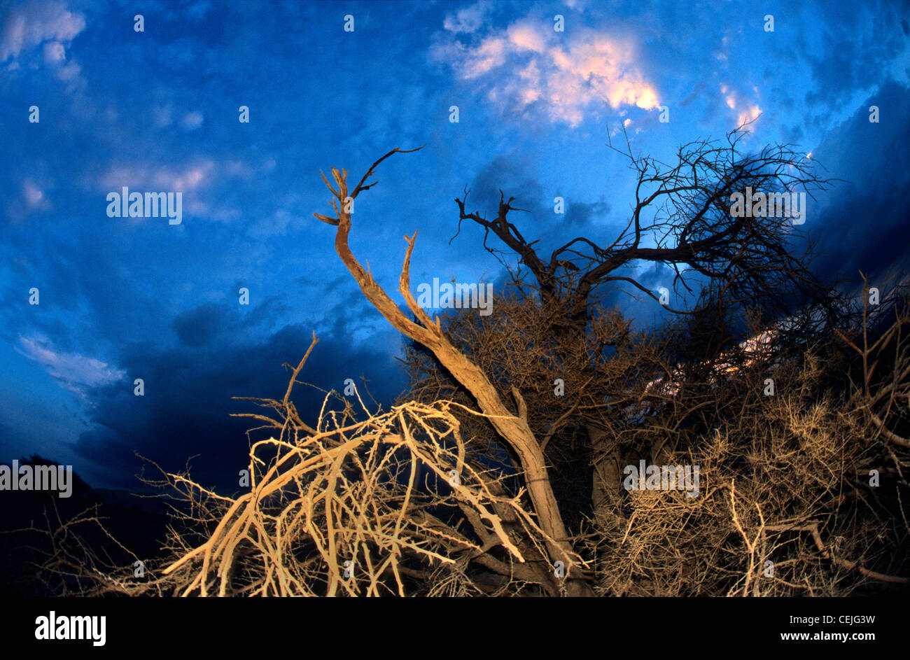 Negev desert. Eilat Mts, Israel Stock Photo - Alamy