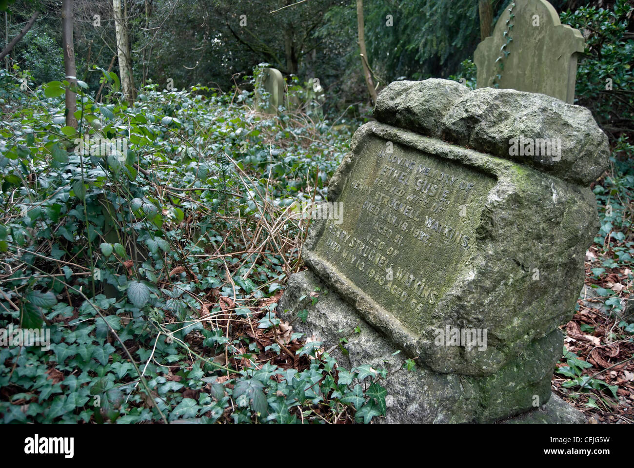 overgrown gravestones at old barnes cemetery, southwest london, a ...