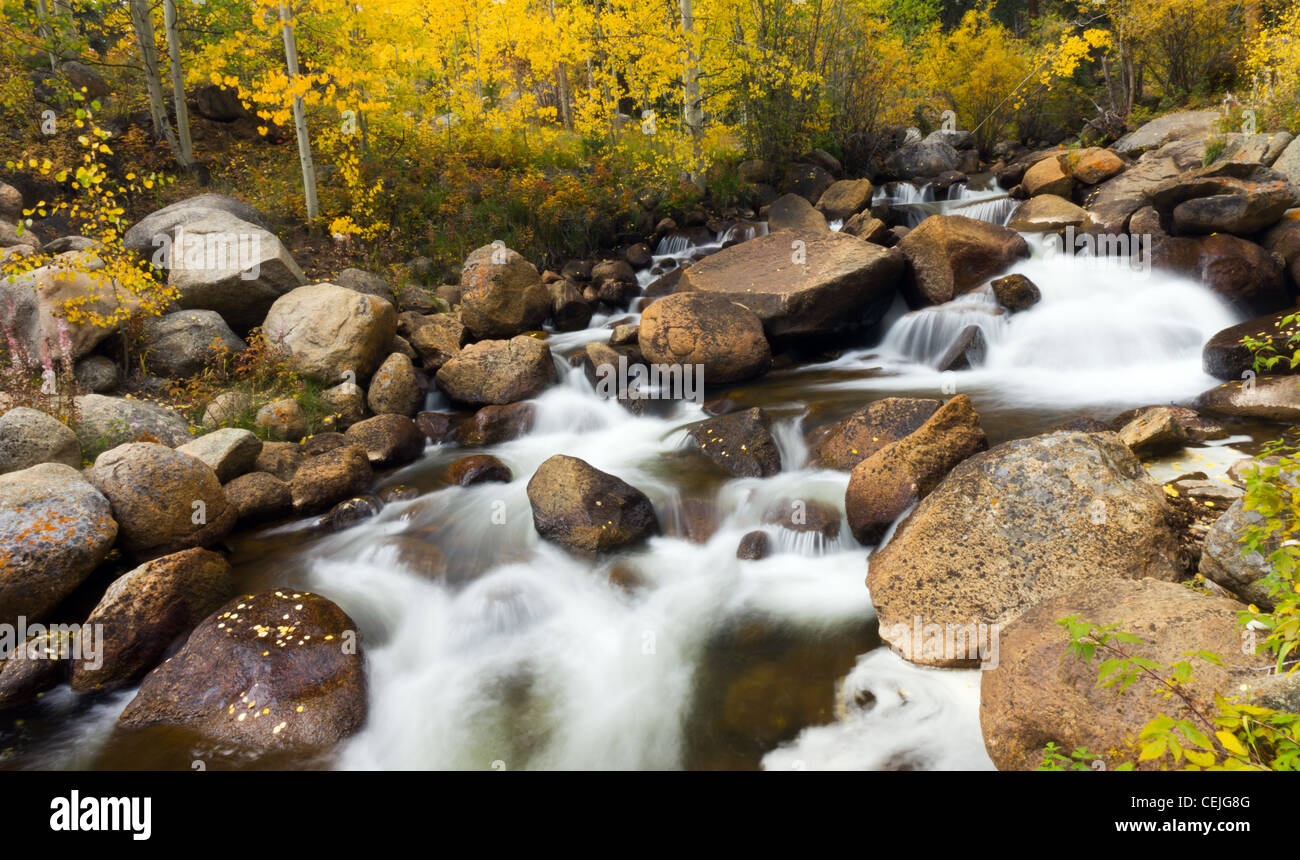 Leaves flowing down the river hi-res stock photography and images - Alamy