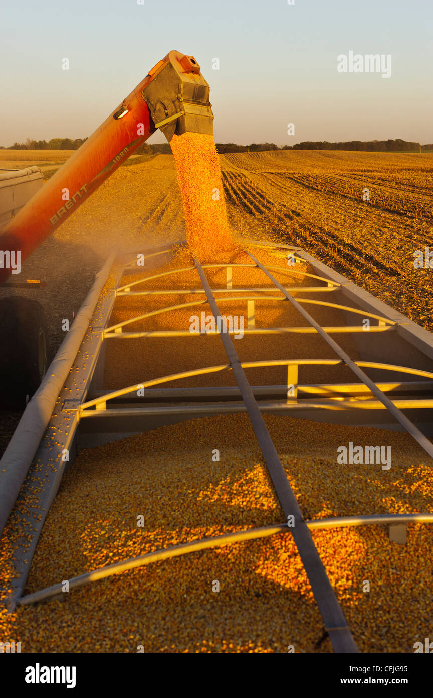 Augered hi-res stock photography and images - Alamy