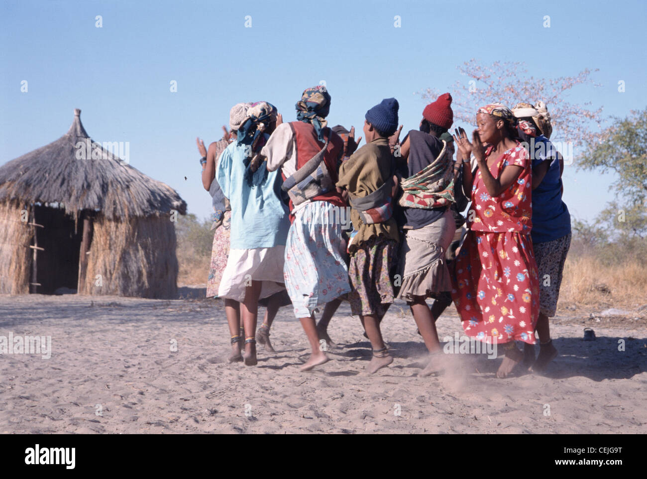 San bushwomen dancing in the Kalahari desert, Namibia Stock Photo - Alamy