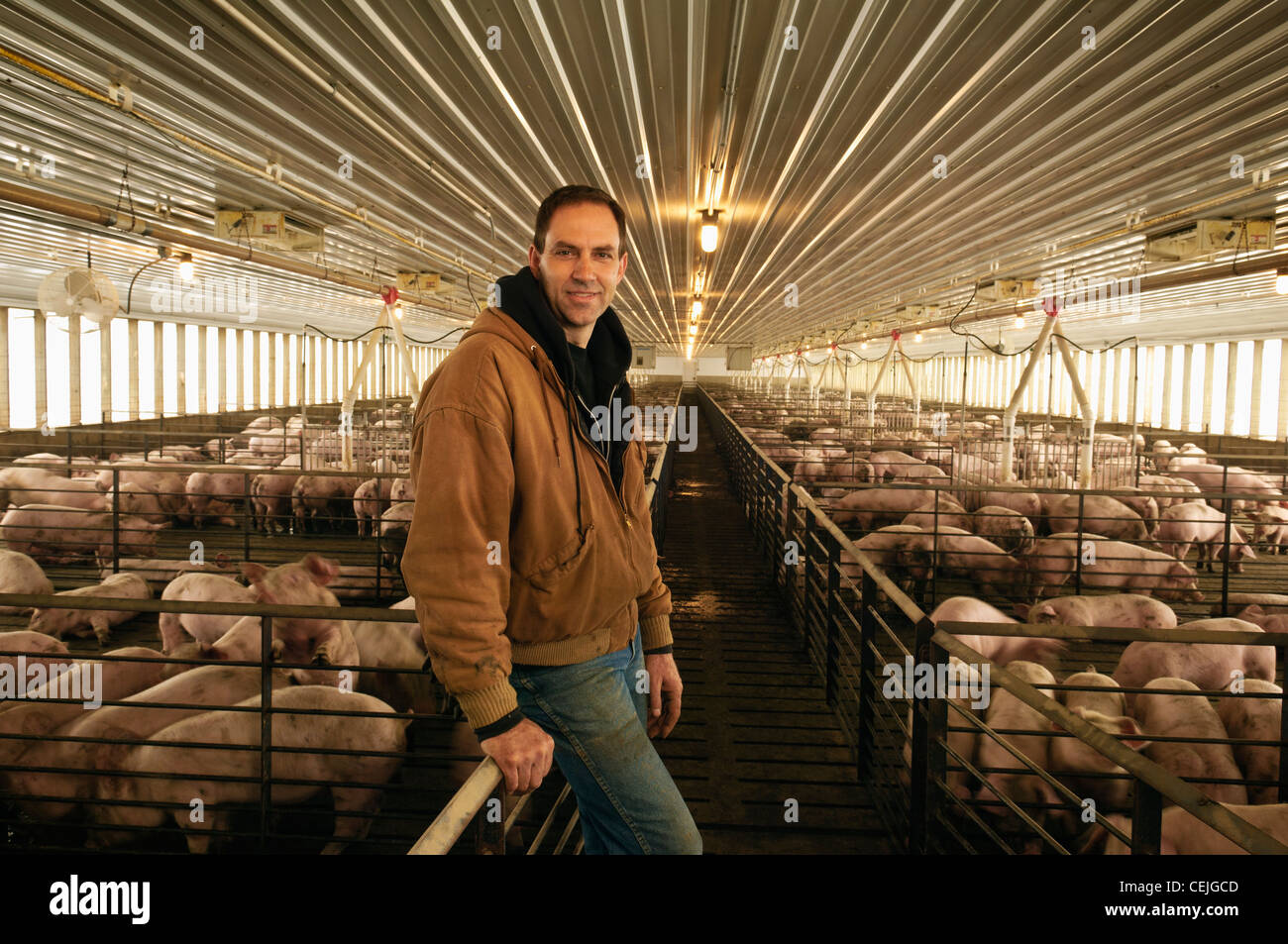 Hog Pens High Resolution Stock Photography and Images - Alamy