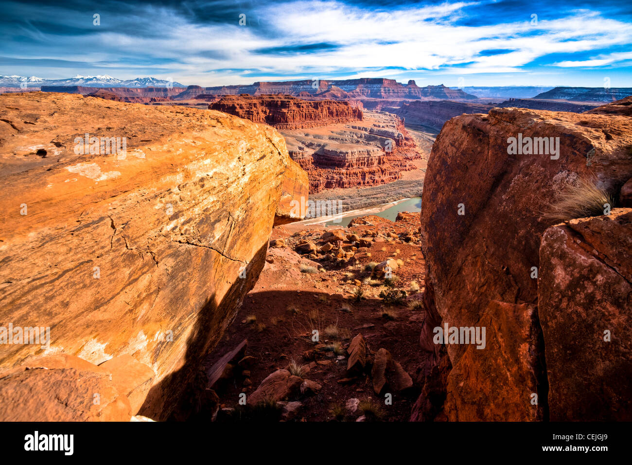 The Colorado River flowing south where it will meet the Green River in ...
