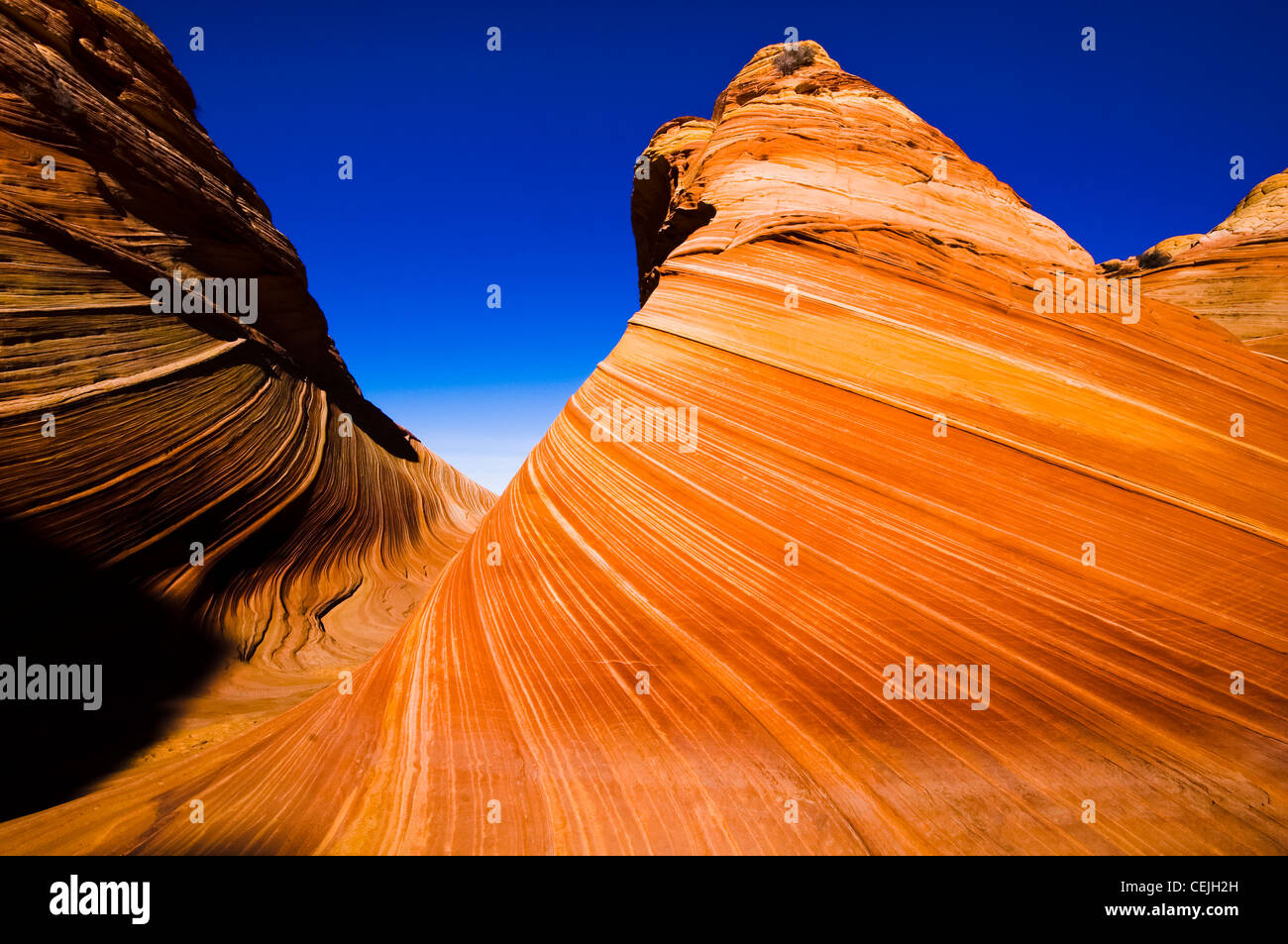 The Wave is a sandstone rock formation located in the United States of ...