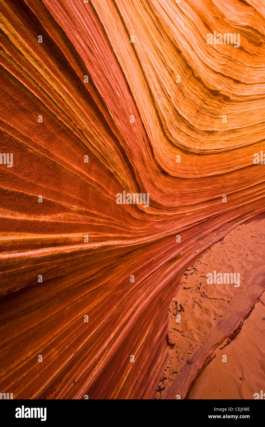 The Wave is a sandstone rock formation located in the United States of ...
