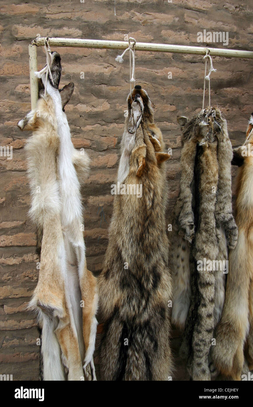 Animal fur coat hi-res stock photography and images - Alamy