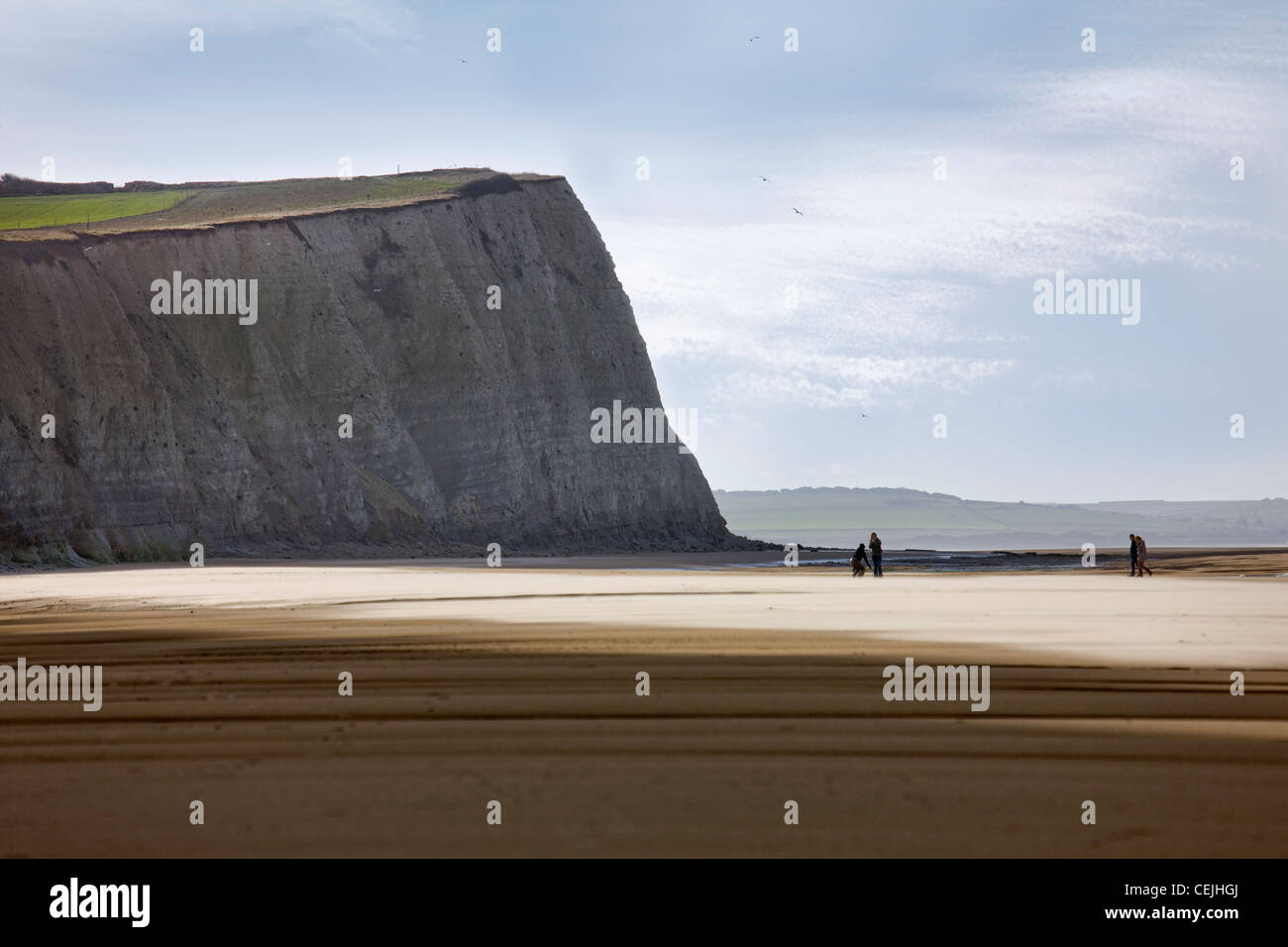 The white chalk cliffs and beach at low tide at Cap Blanc Nez, Pas-de ...