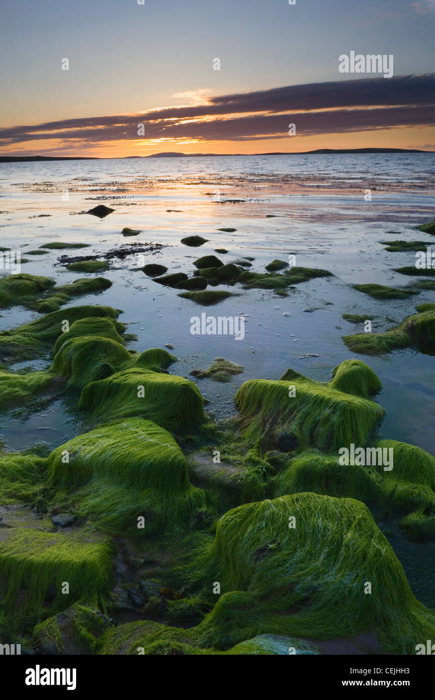 Orkney beach sun hi-res stock photography and images - Alamy