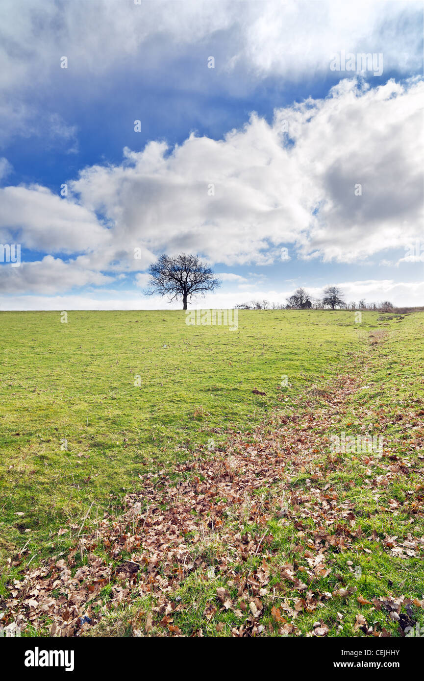 Hillside slope hi-res stock photography and images - Alamy