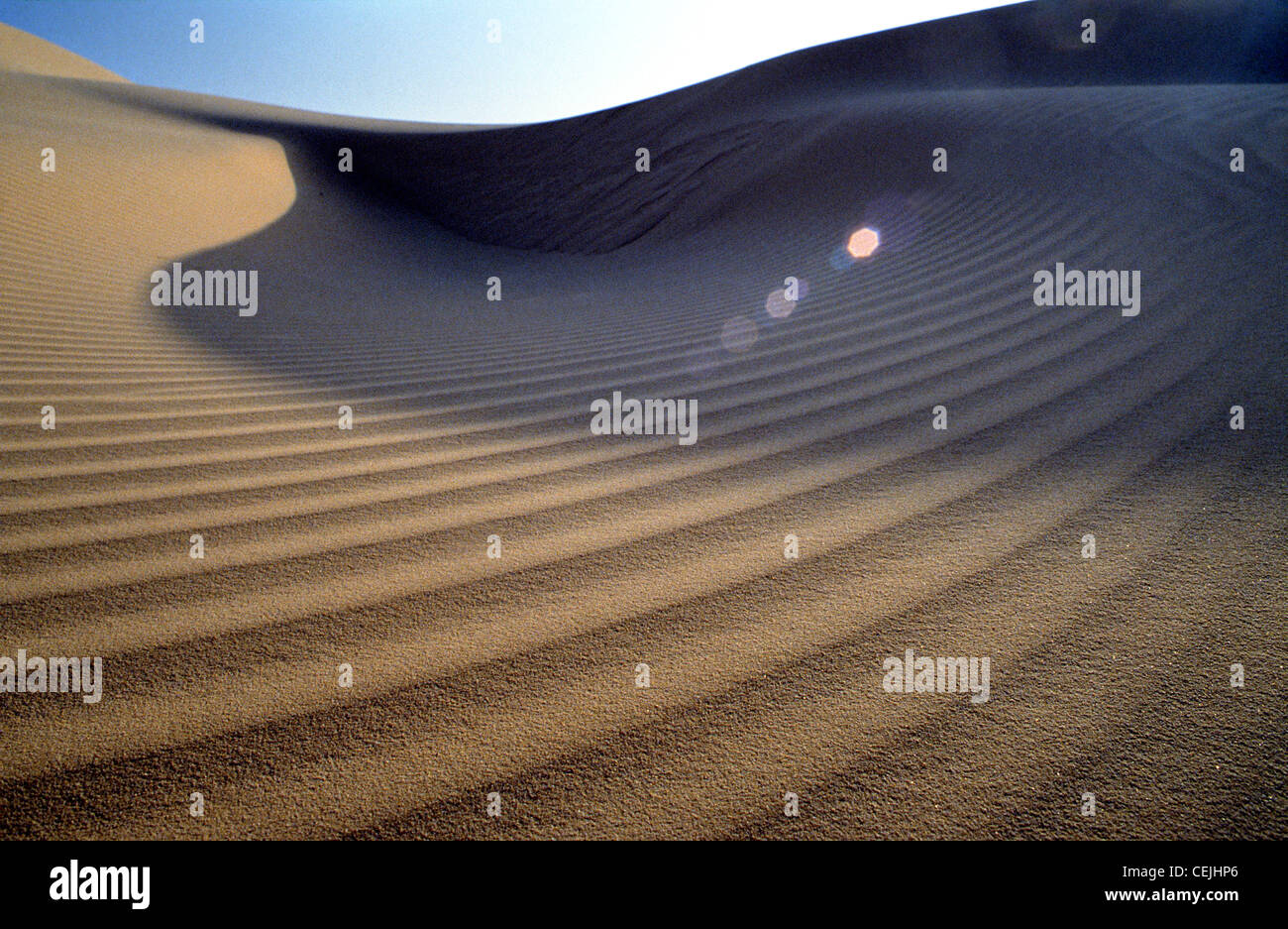 Sand dune Sinai desert Egypt Stock Photo - Alamy
