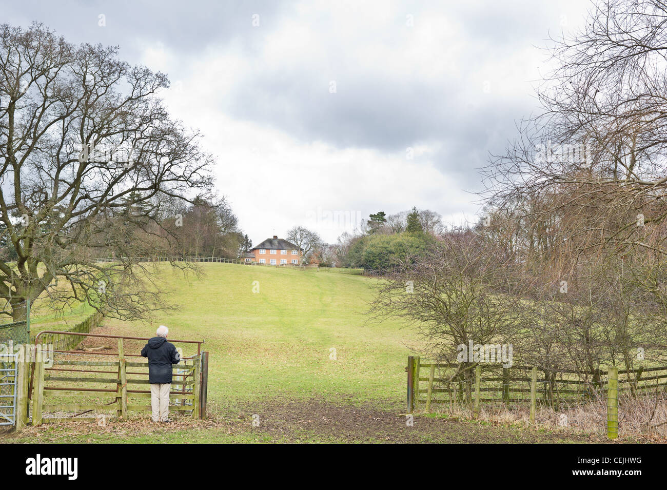 Large back garden Stock Photo - Alamy