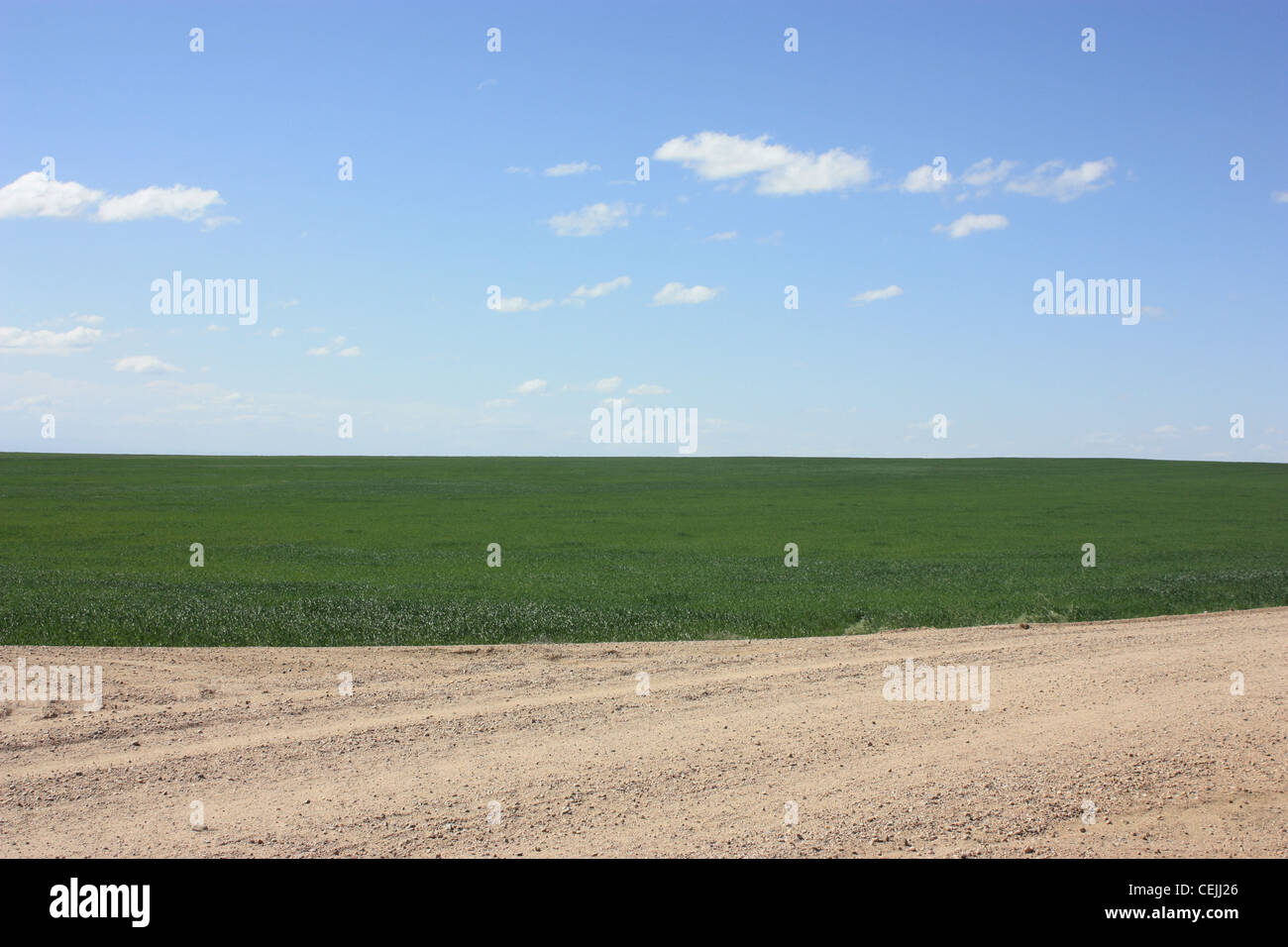A dirt road thru a rural area in the western plains Stock Photo - Alamy