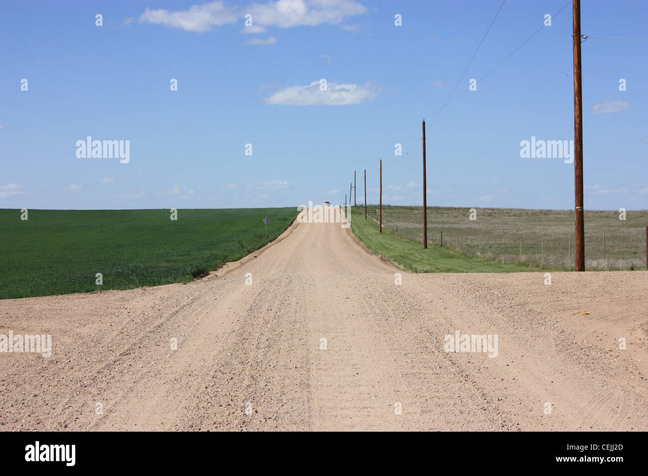 A dirt road thru a rural area in the western plains Stock Photo - Alamy