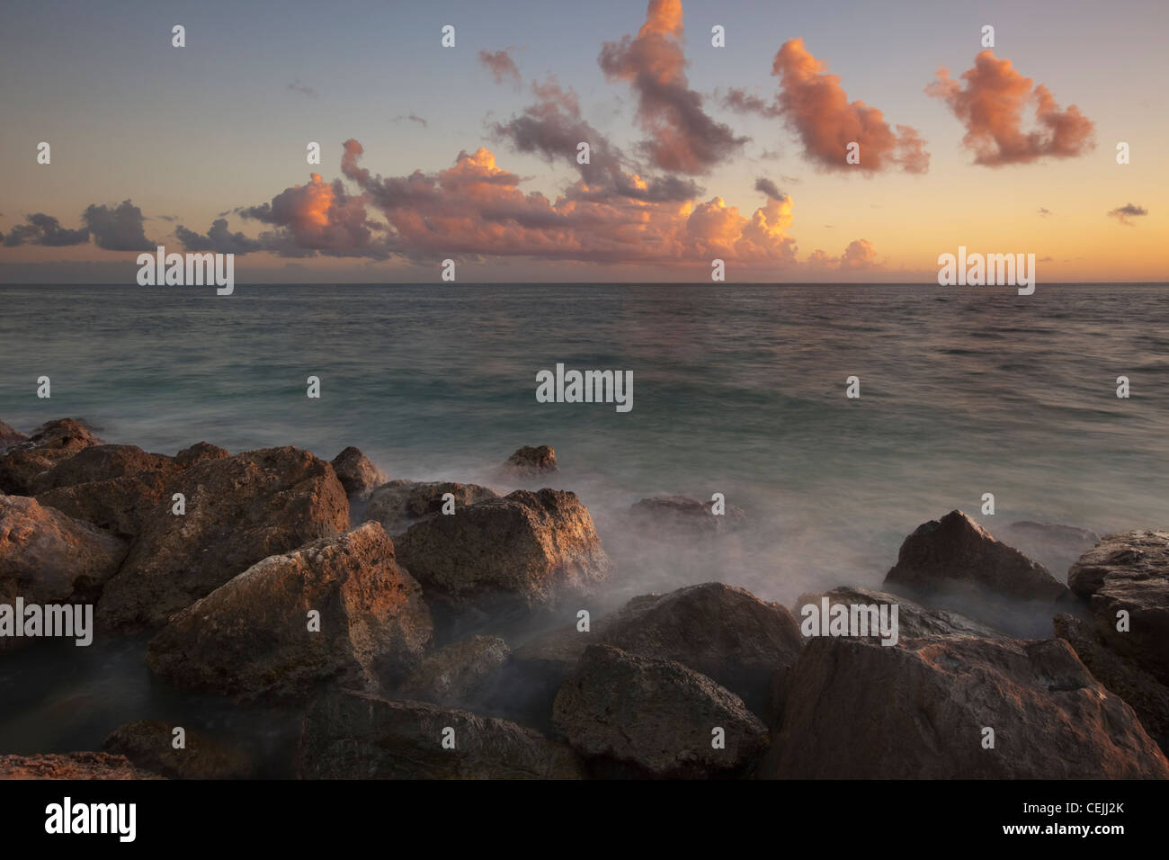 Rocky shoreline during sunset at Key West, Florida, USA Stock Photo - Alamy