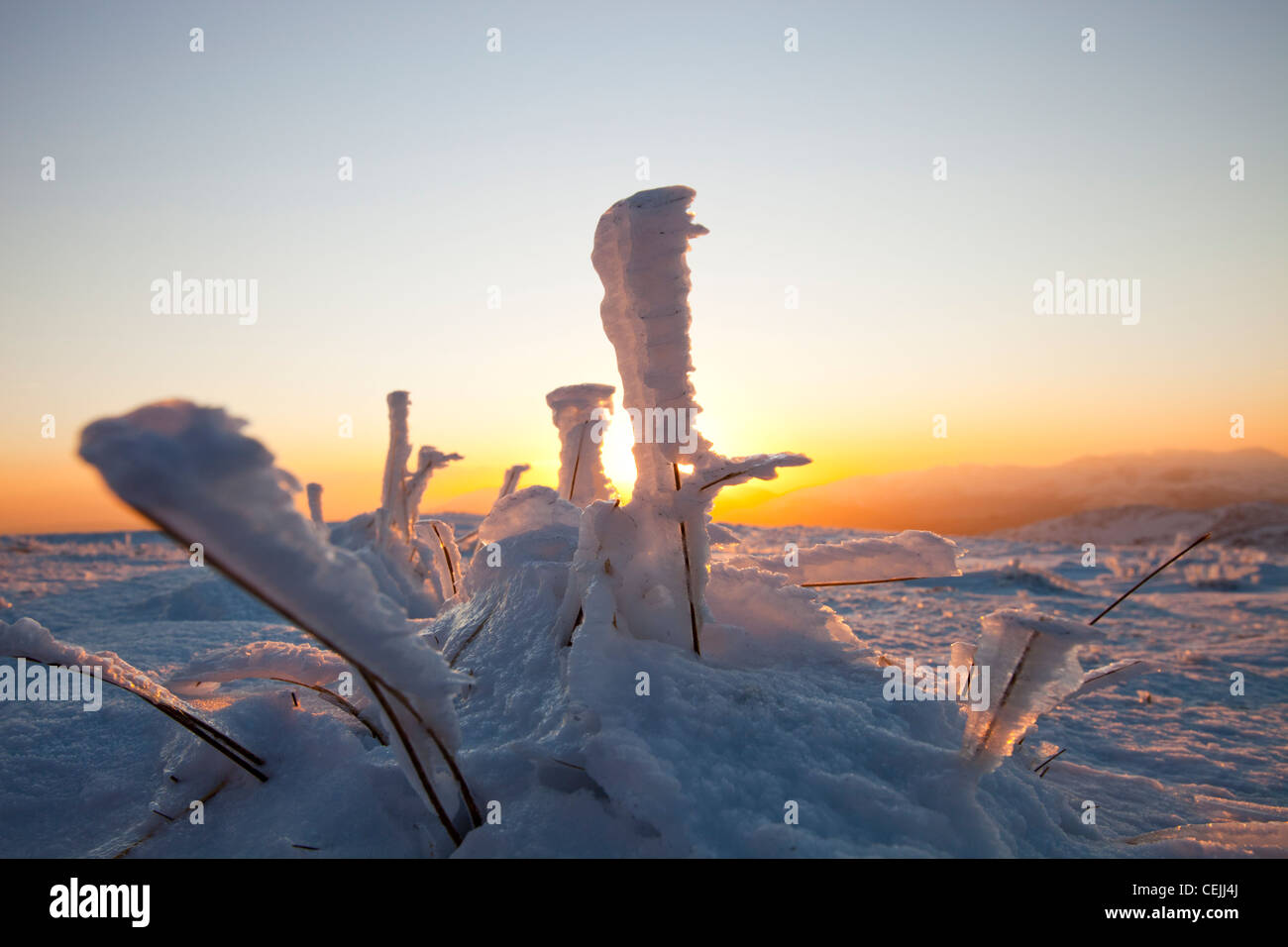 Hoare frost at sunset on the summit of Red Screes in the Lake District ...