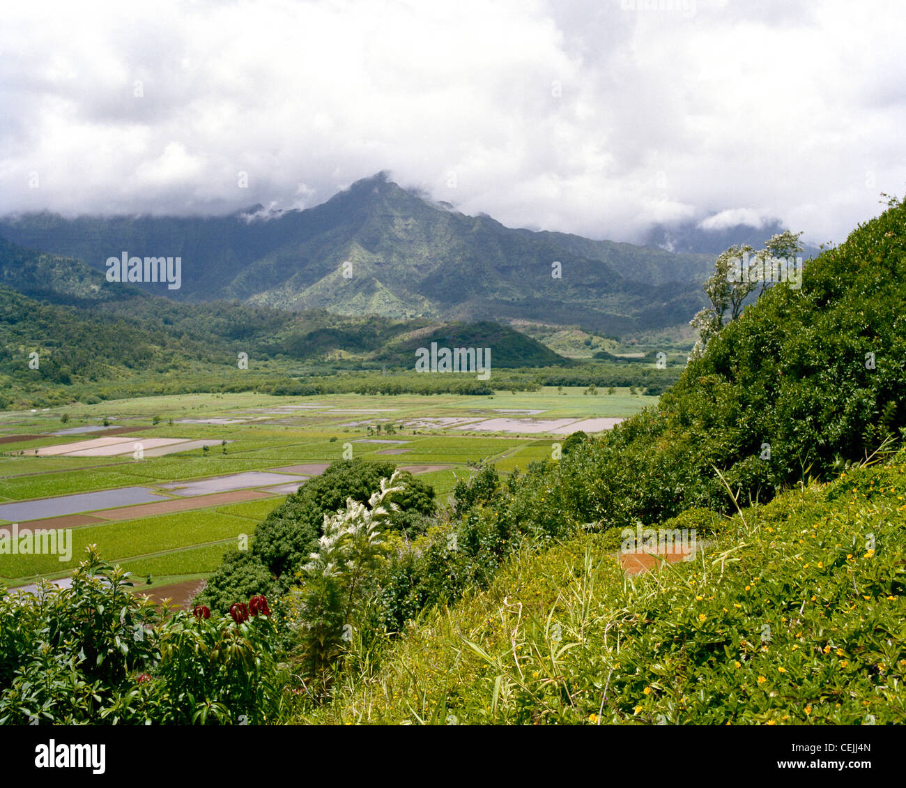 Hanalei valley lookout hi-res stock photography and images - Alamy