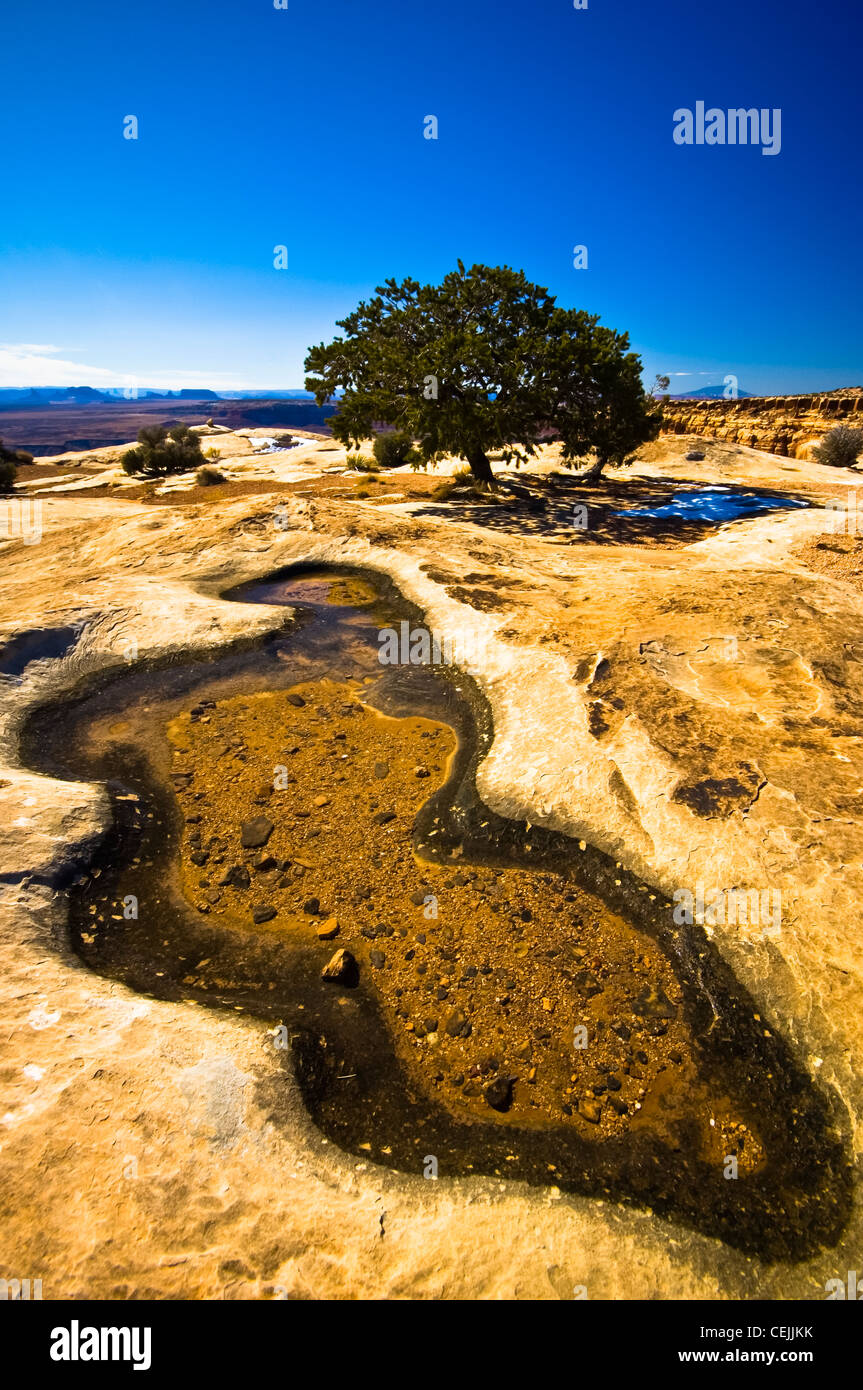 Muley Point is five bumpy (but passable) miles from the pavement. You ...