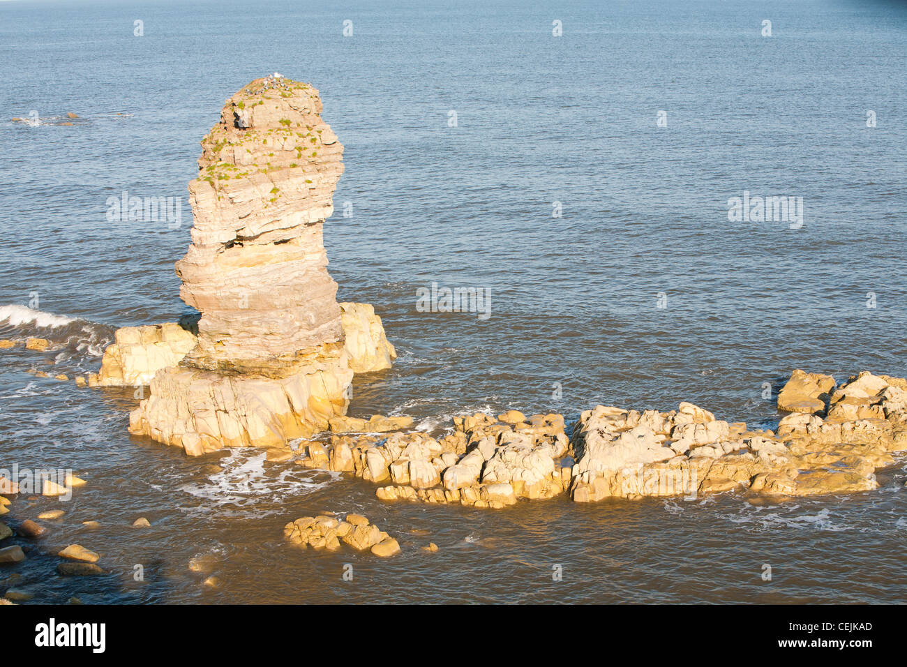 Se stack hi-res stock photography and images - Alamy