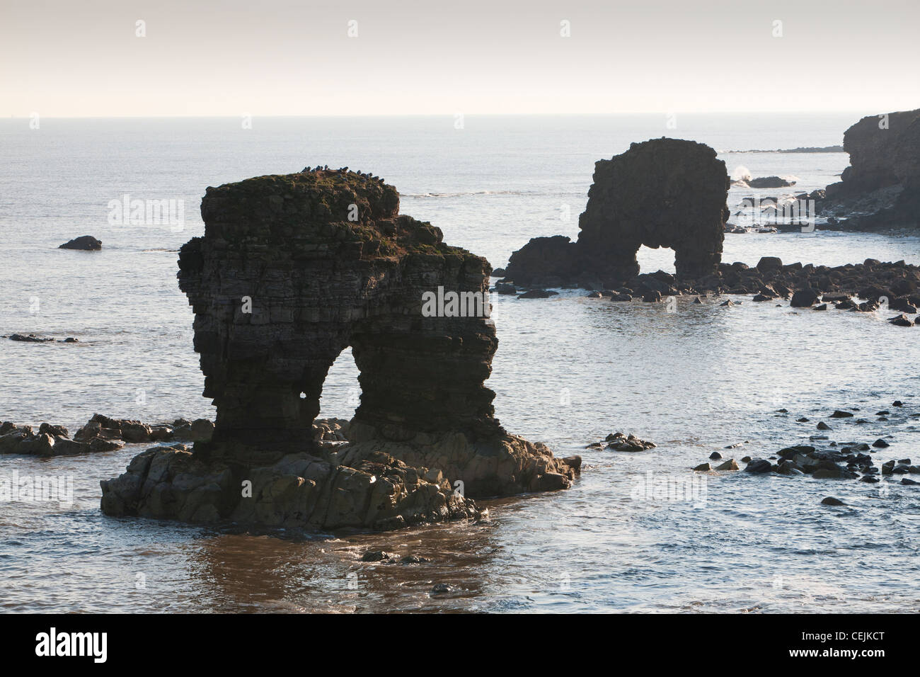 Sea stack sea arch hi-res stock photography and images - Alamy