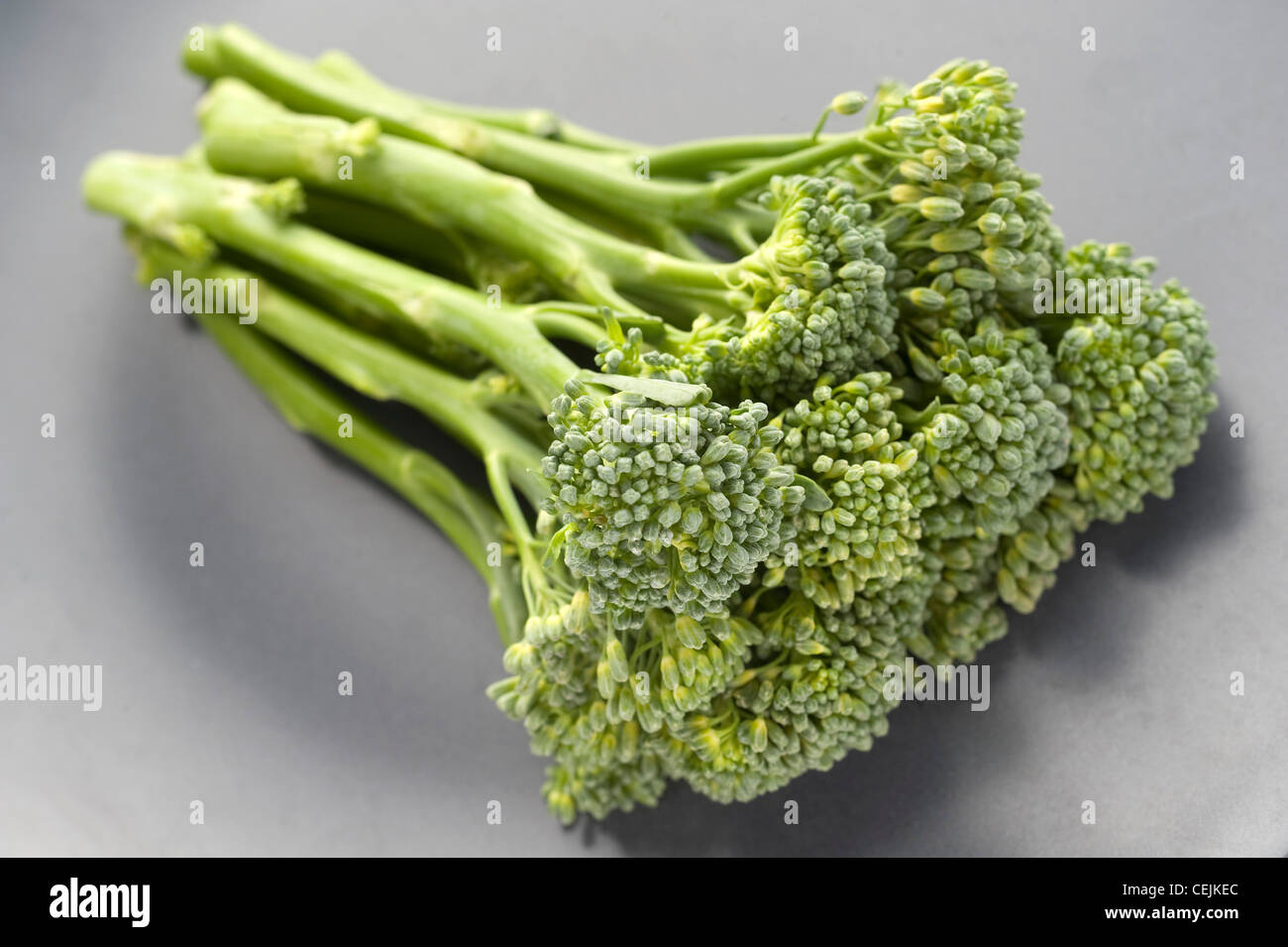 A still life image of broccoli stalks on grey plate Stock Photo - Alamy