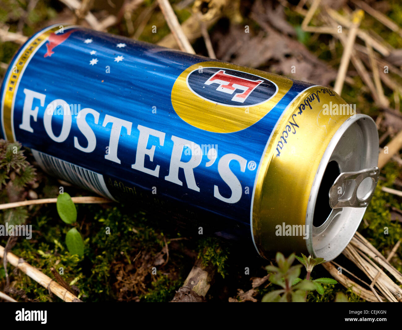 Fosters can hi-res stock photography and images - Alamy
